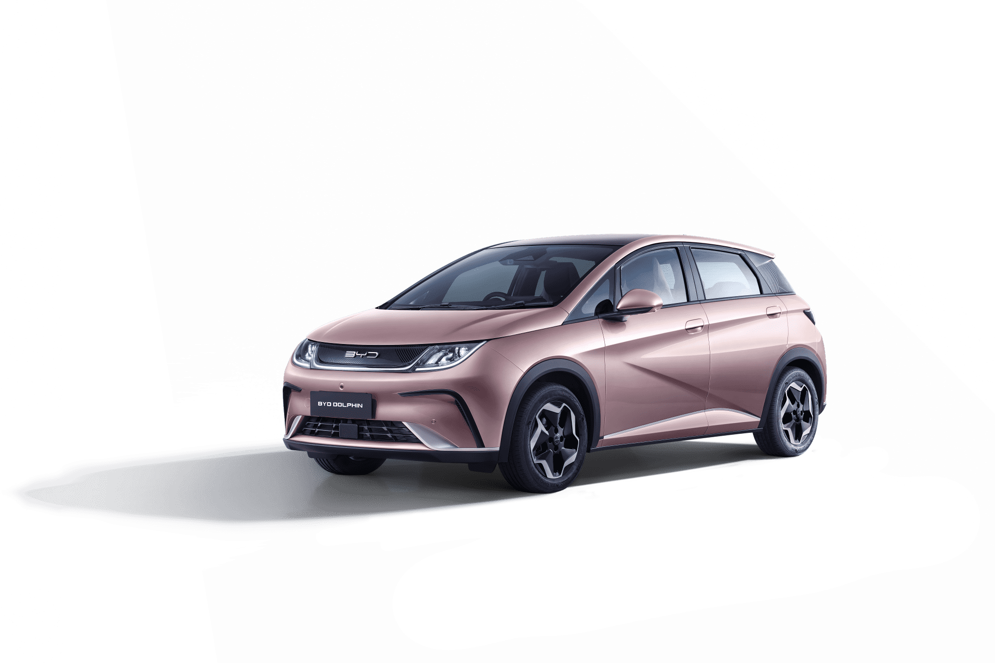 BYD Dolphin - BYD Arista